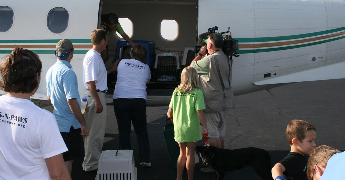 Pilots N Paws Seeking Business Aircraft to Fly Animals from Houston Region
